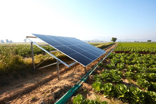 Solar-Powered Irrigation: A Solution to Water Management