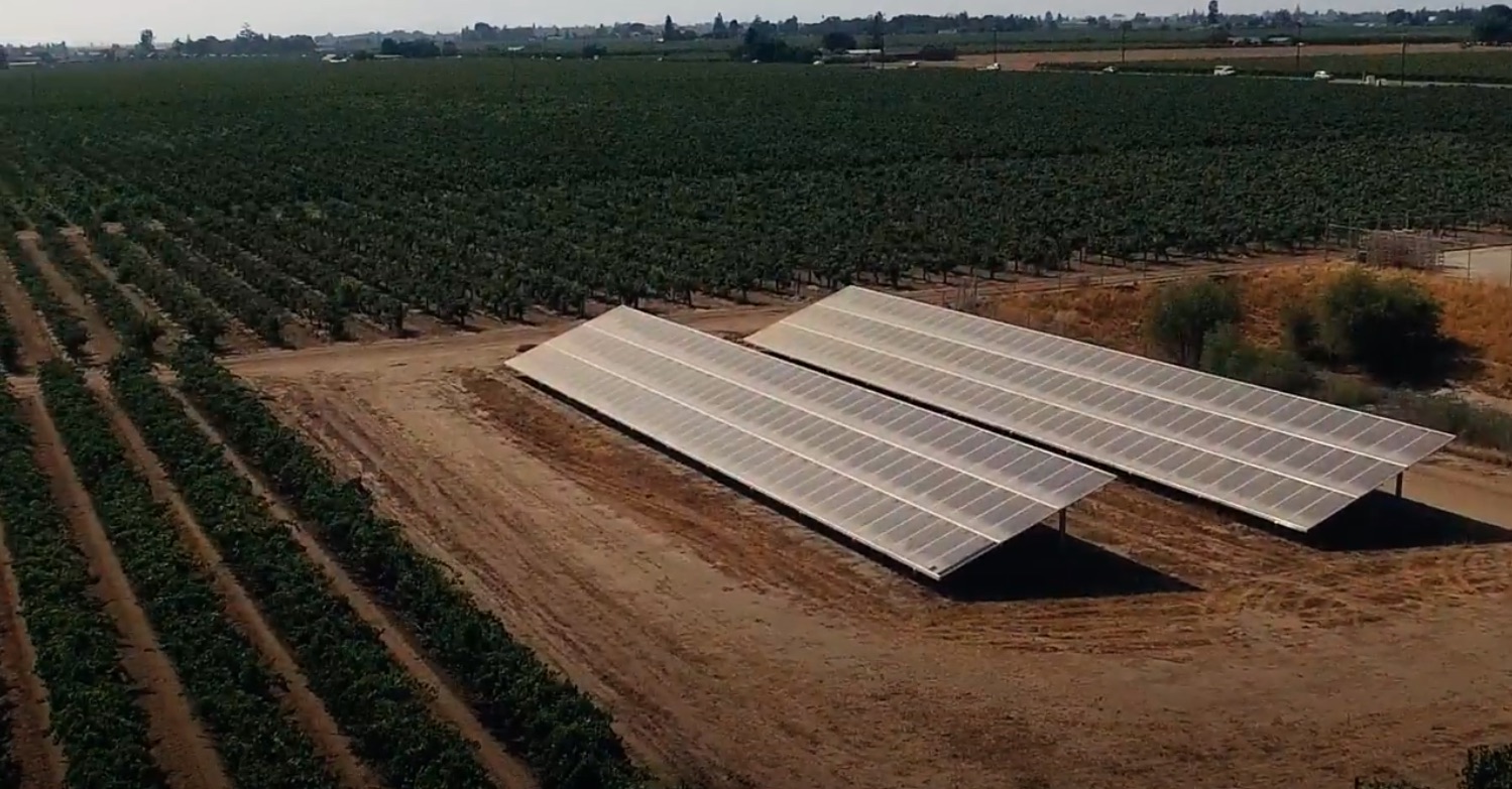 Solar Panel Pest Control: Preventing Damage from Birds and Wildlife